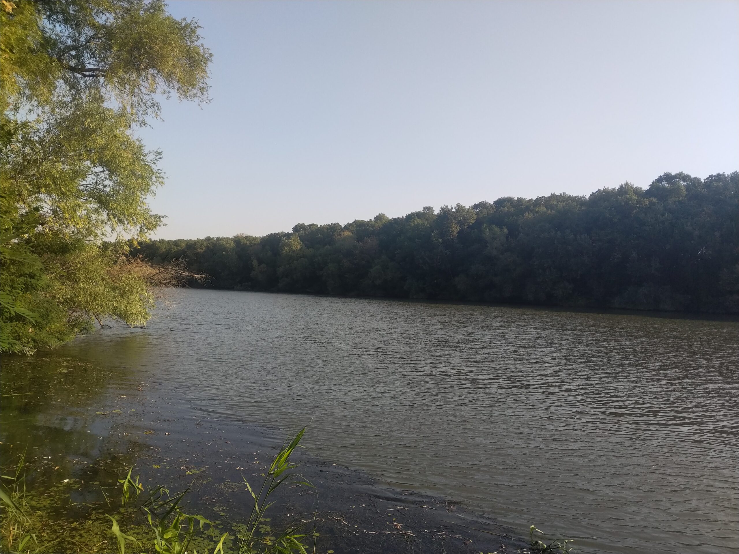 În Republica Moldova va fi creat Parcului Național ”Nistrul de Jos” - EcoFM