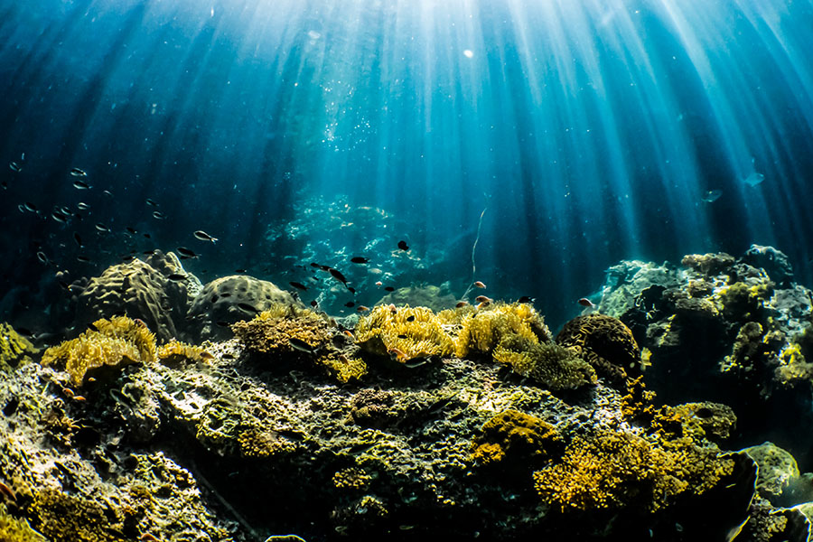 Curenții subacvatici gigantici modifică clima adâncurilor oceanului - EcoFM